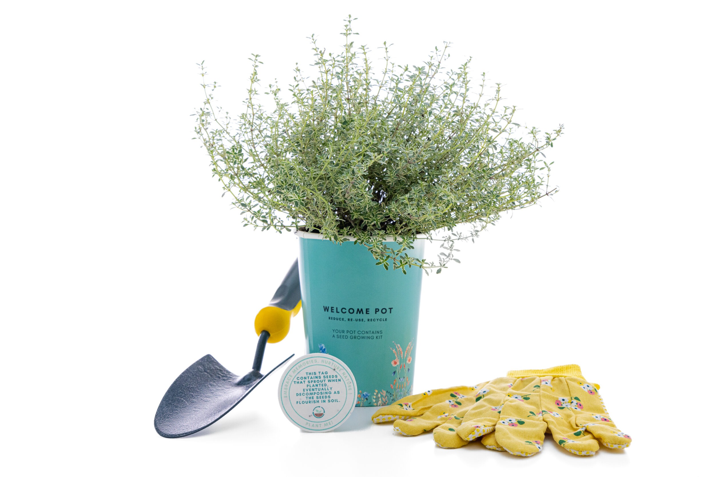 Interactive Welcome Packs: A Game-Changer in Hospitality - Walter Geering