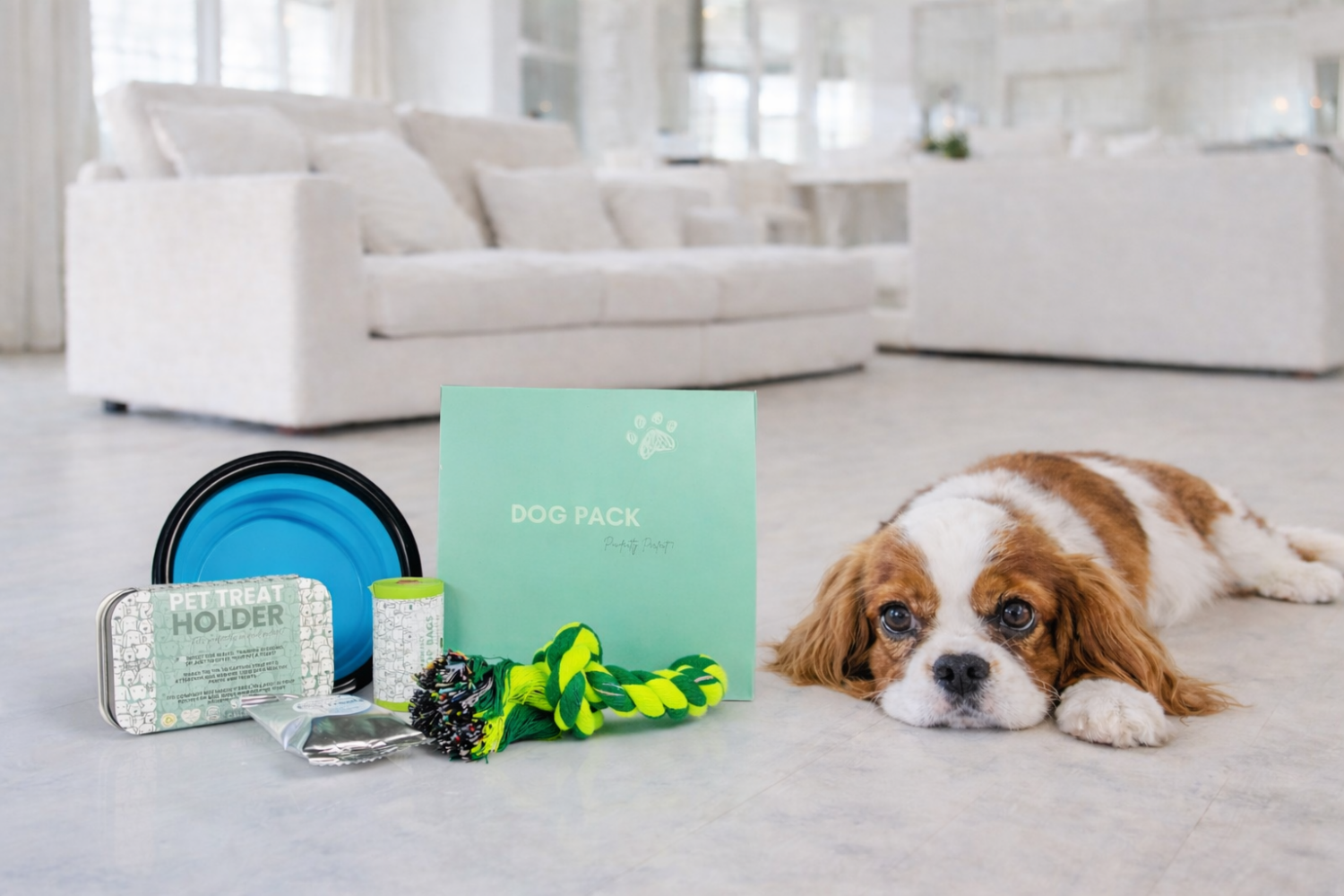 Dog Welcome Packs - Walter Geering